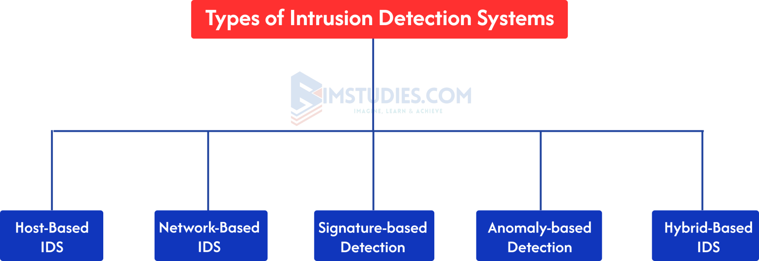 Intrusion Detection | BimStudies.Com